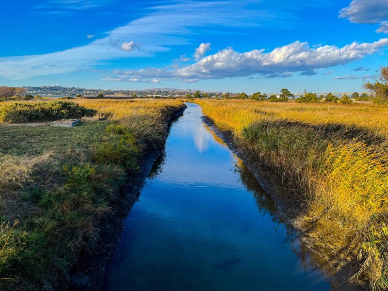 Introduction to the California Delta 2022 - Billy's Cities